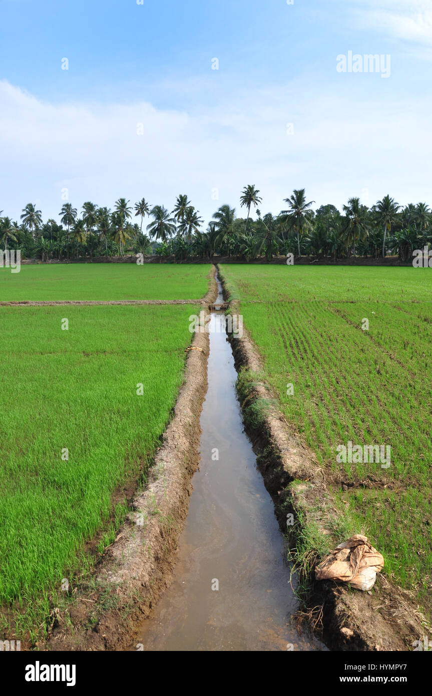 Almost 600km of glorious hi-res stock photography and images - Alamy