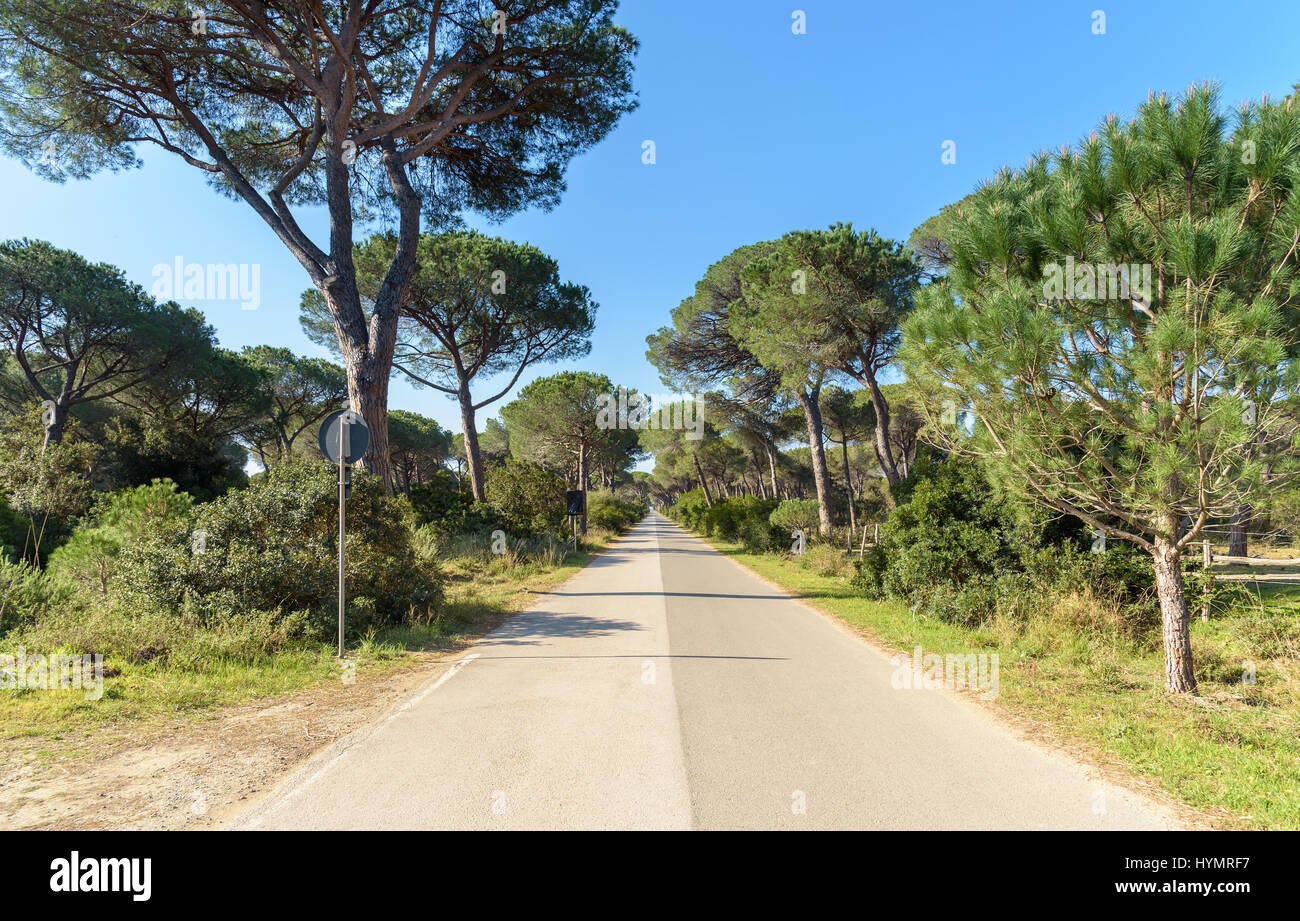 Alberese hi-res stock photography and images - Alamy