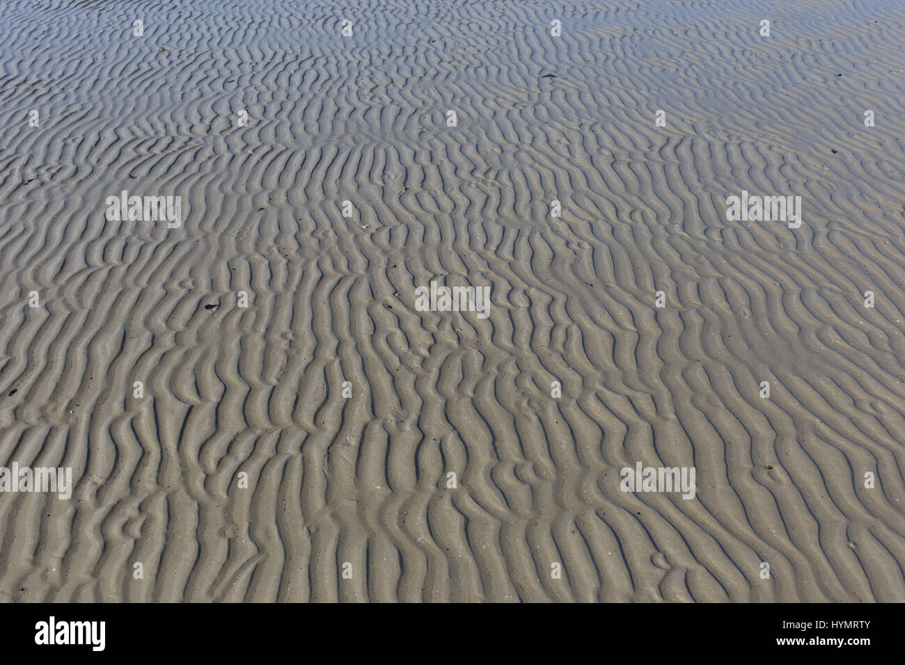 Sandy with ripples from wind Stock Photo - Alamy