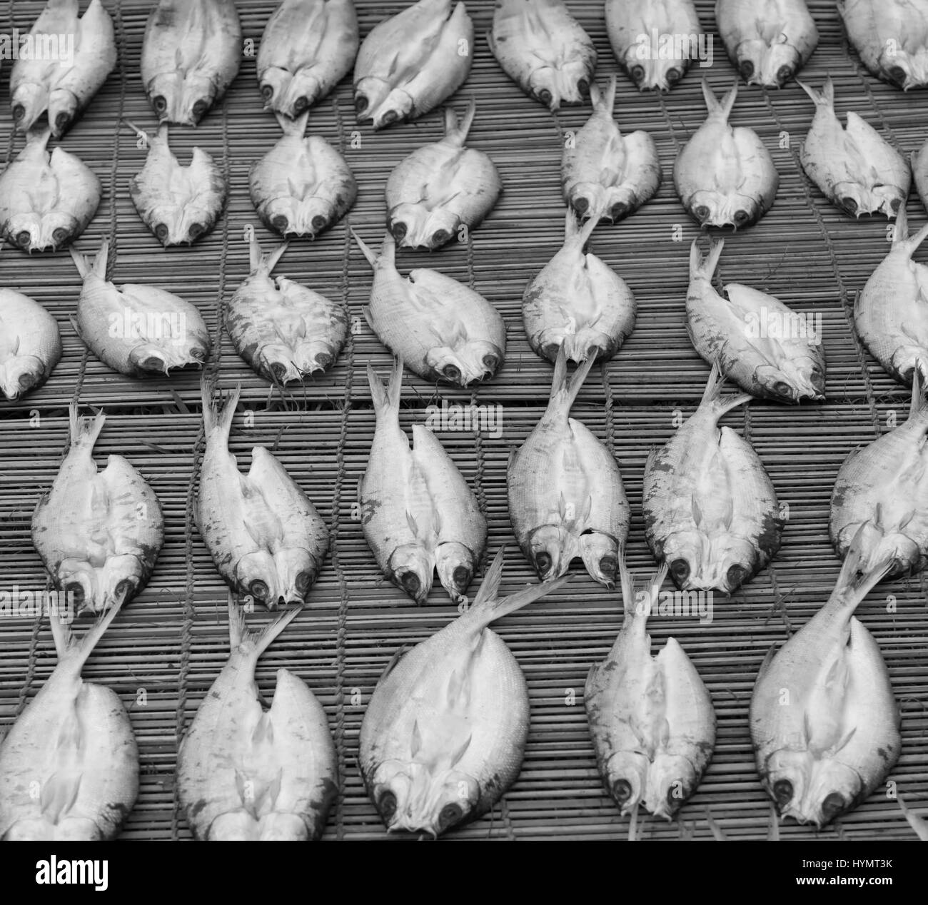 blur in philippines lots of fish salted and dry preparation for the ...