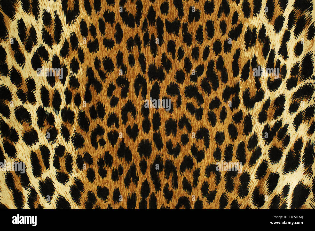 Close up black spots of a leopard Stock Photo - Alamy