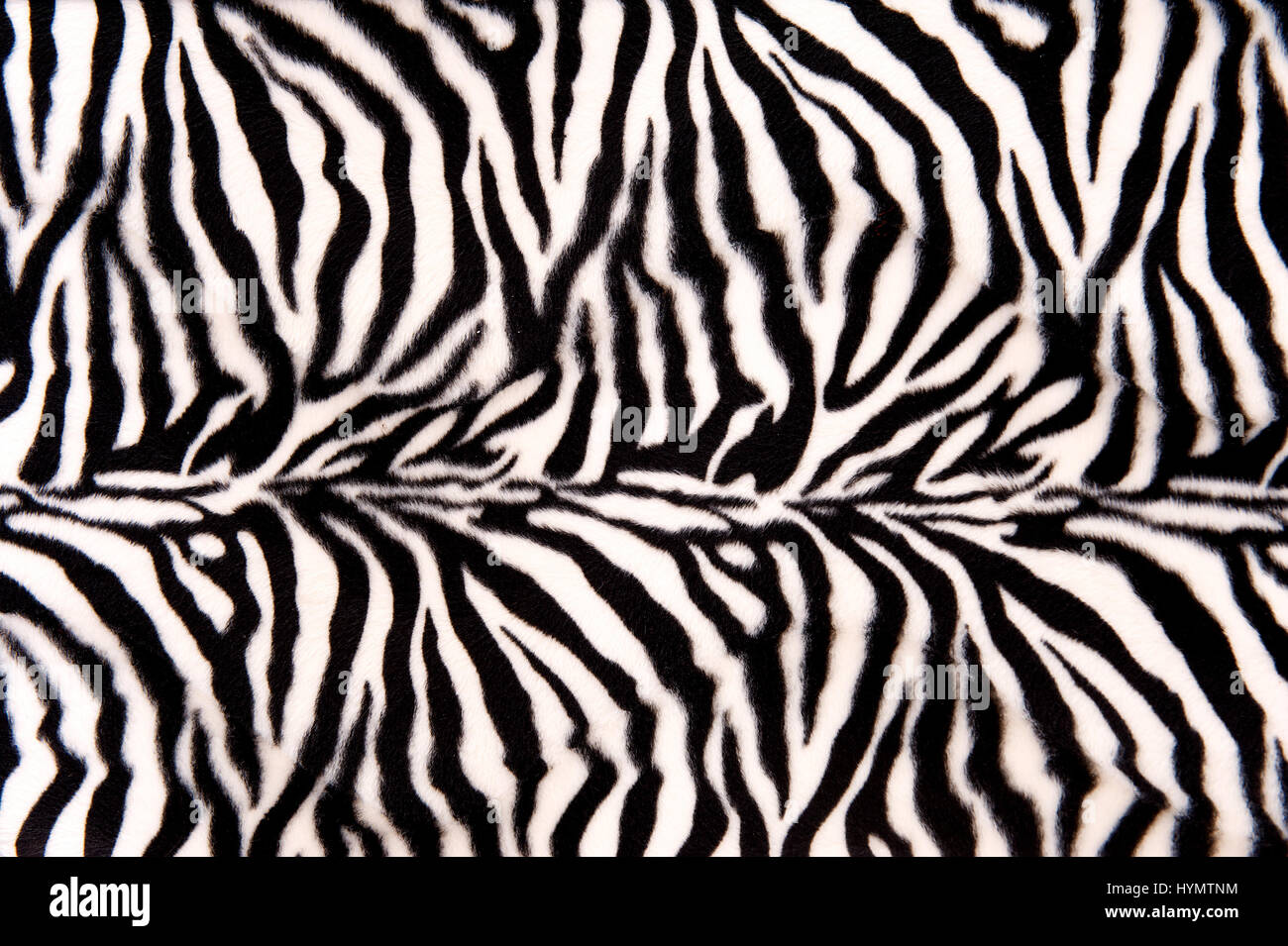 Horizontal striped zebra pattern with curves and lines Stock Photo - Alamy