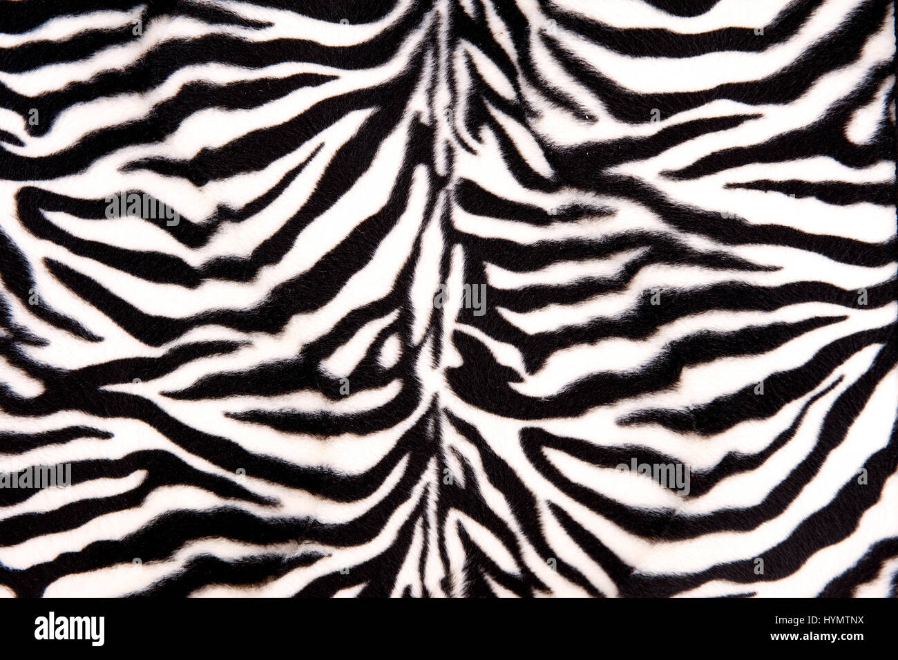 Black and white zebra pattern with stripes and curves Stock Photo - Alamy