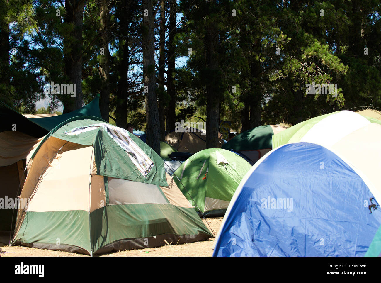 Campsite with many tents in nature forest Stock Photo - Alamy