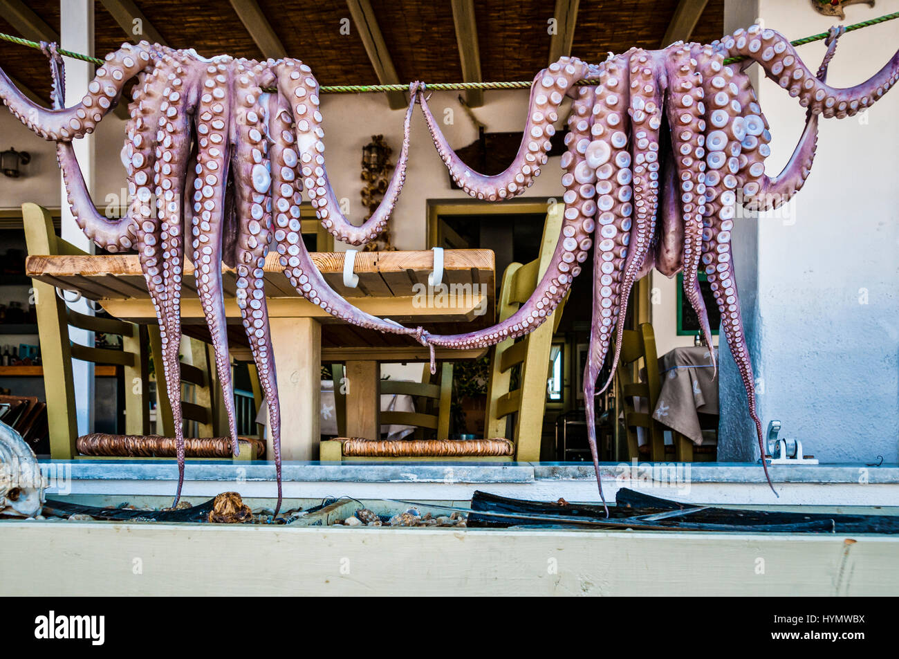 Drying octopus on sun drying hi-res stock photography and images - Alamy