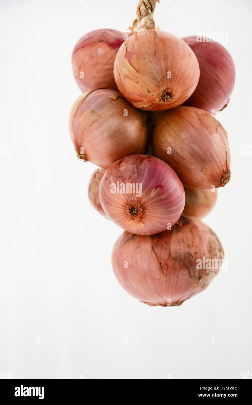 Hanging bundle of brown onions on white background Stock Photo - Alamy