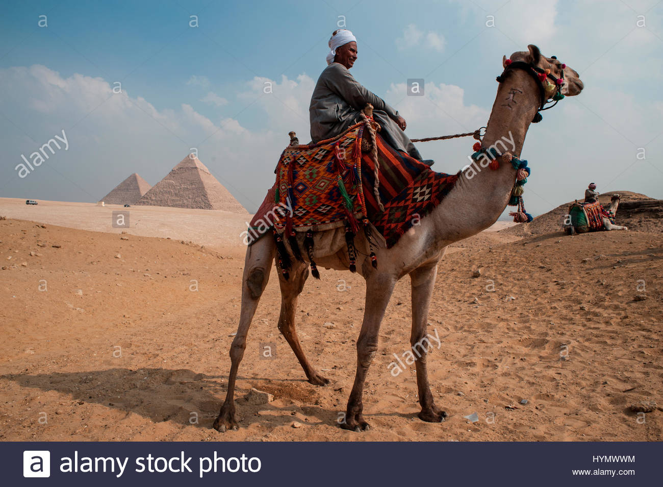 Camel Great Pyramid Khufu Giza High Resolution Stock Photography and ...