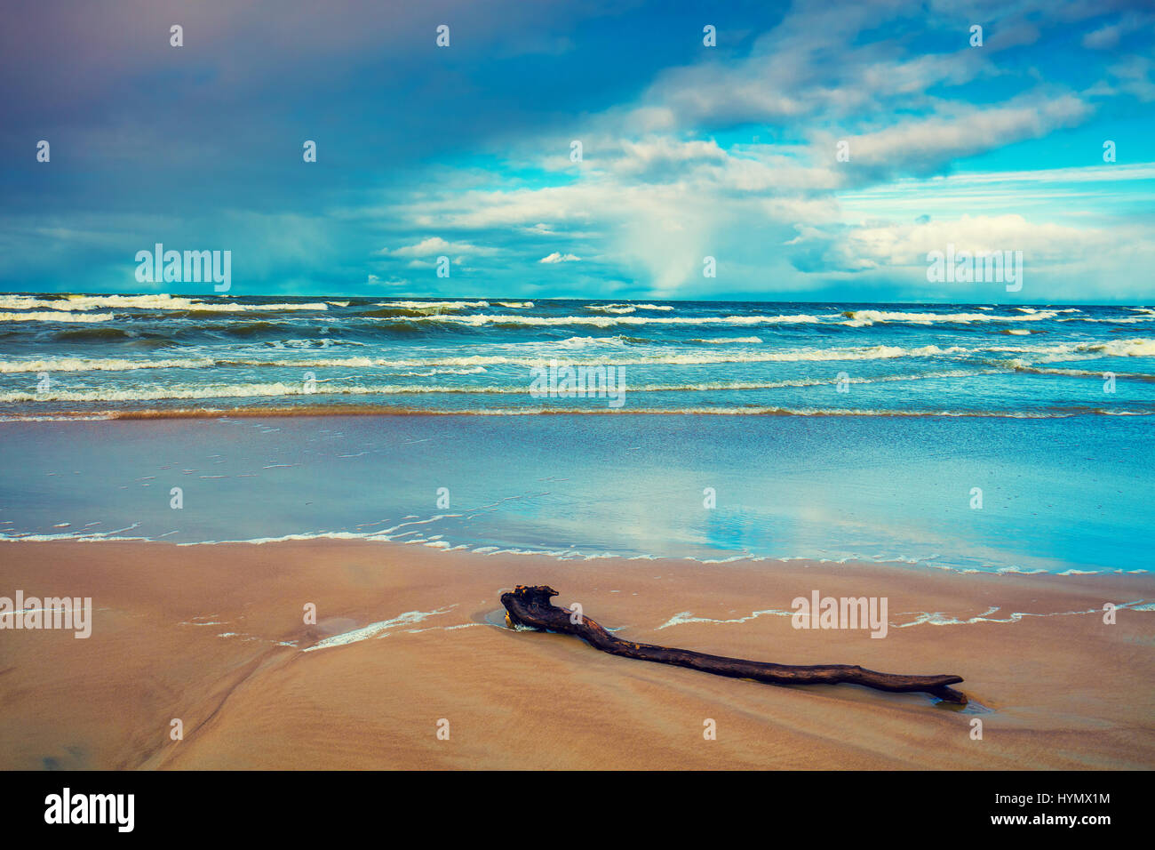 Sea shore. Deserted beach. Marine landscape with blue ocean and ...