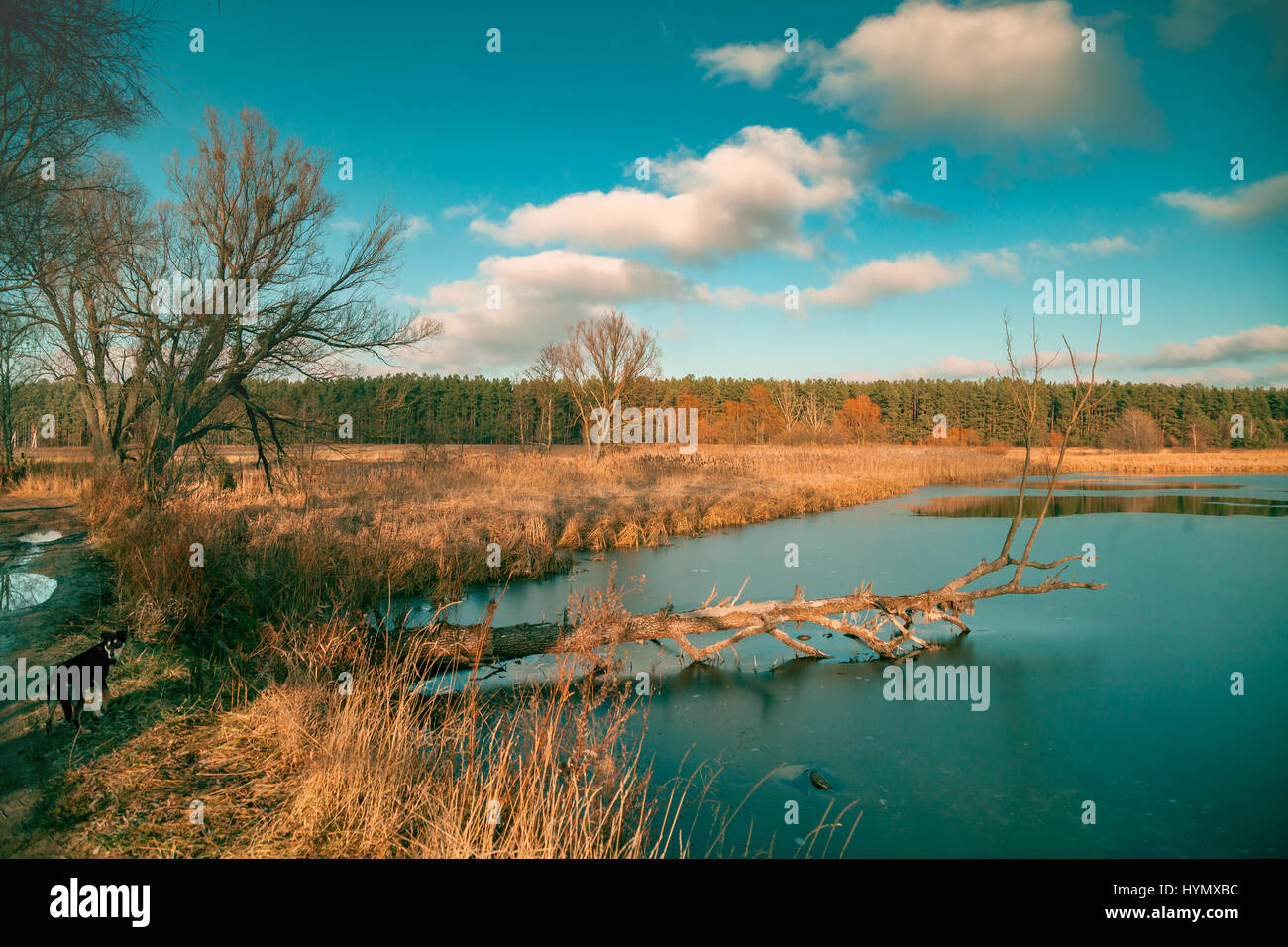 Spring river landscape dry grass hi-res stock photography and images ...
