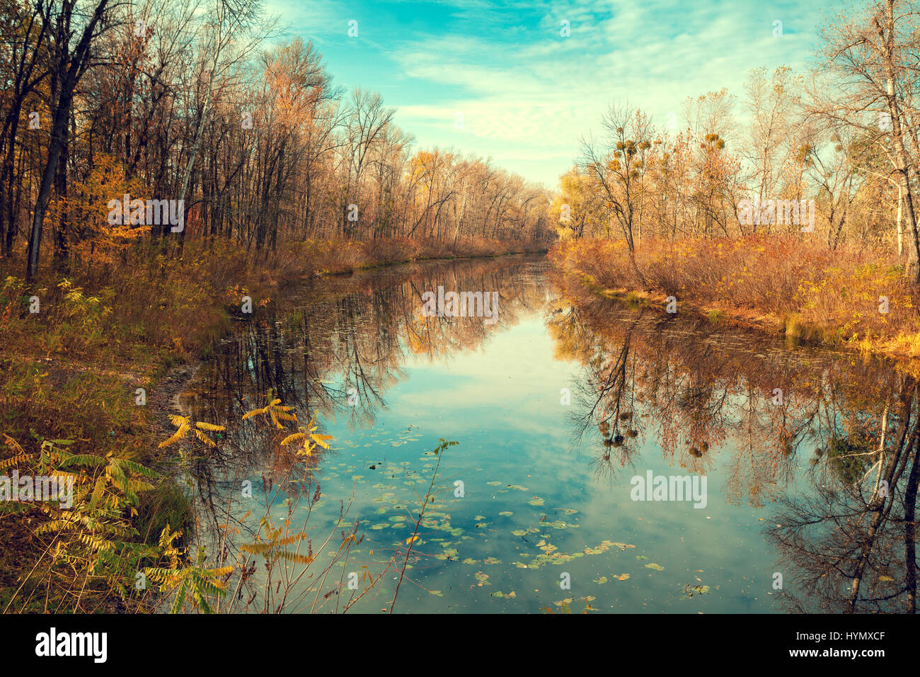 Autumn landscape. Trees without leaves along calm river with reflection ...