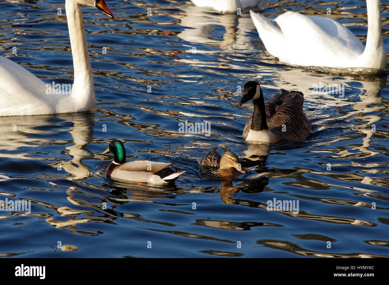 In burton on trent hi-res stock photography and images - Alamy