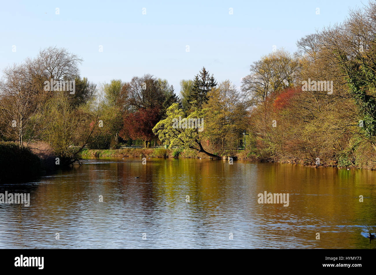 Panorama of River Trent Stock Photo - Alamy