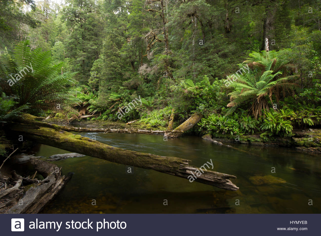 River Styx Stock Photos & River Styx Stock Images - Alamy