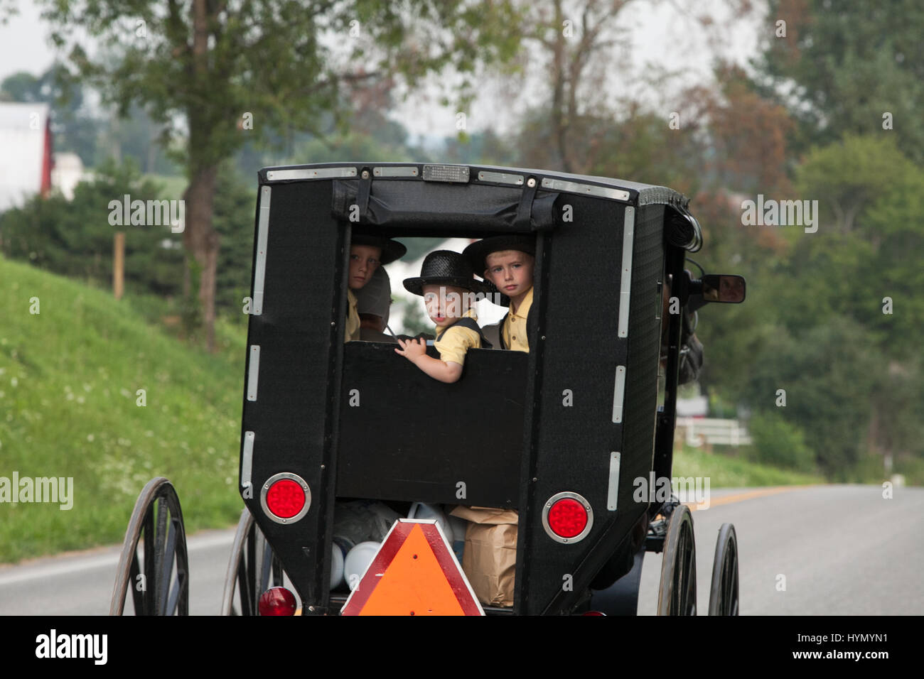 Three young Amish boys stare out the rear window of a horse-drawn buggy ...