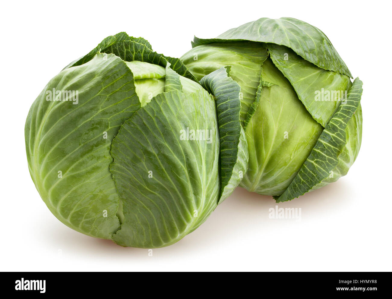 Cabbage green hi-res stock photography and images - Alamy