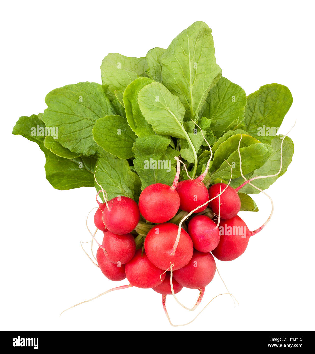 Fresh salad with radish hi-res stock photography and images - Alamy