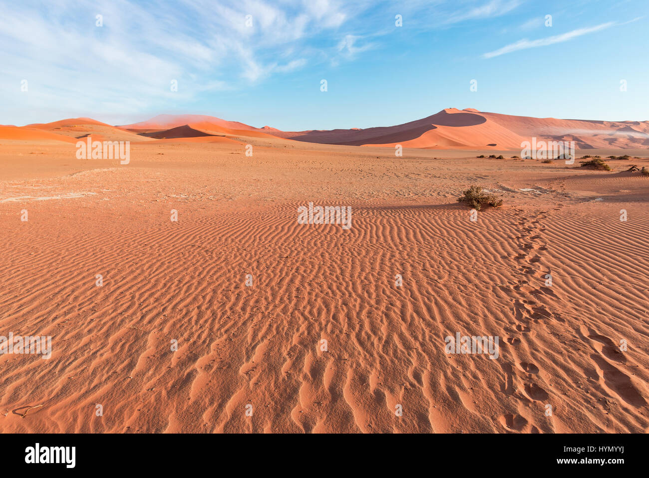 Sand dunes in the Namib desert at dawn, roadtrip in the wonderful Namib ...