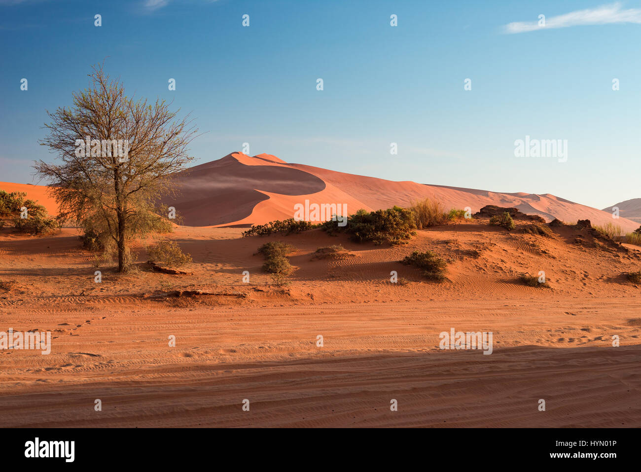 Sand dunes in the Namib desert at dawn, roadtrip in the wonderful Namib ...