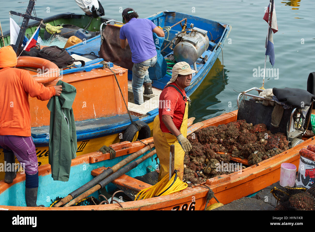Tunicate and boat hi-res stock photography and images - Alamy