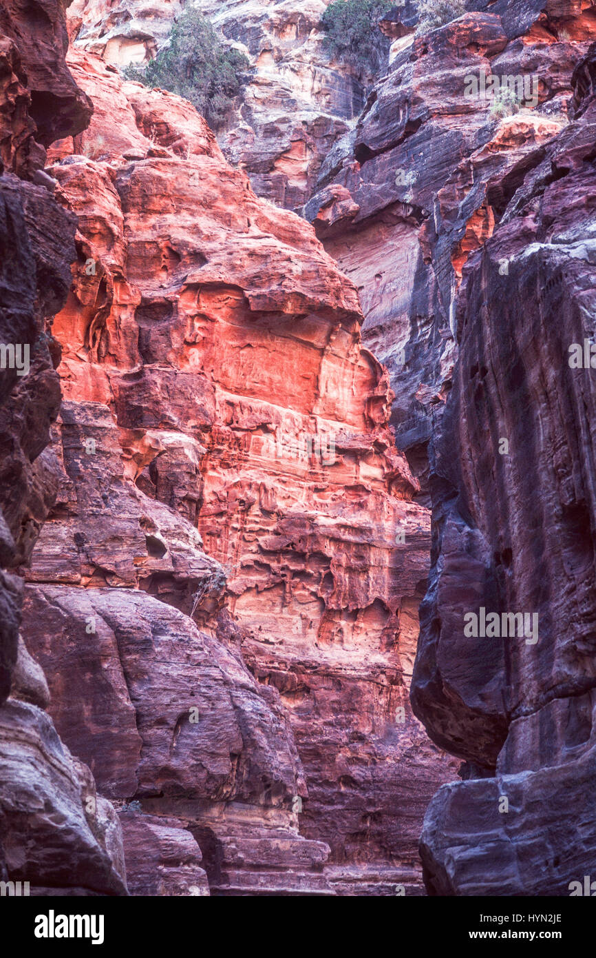 Petra originally known to the Nabataeans as Raqmu, is a historical and ...