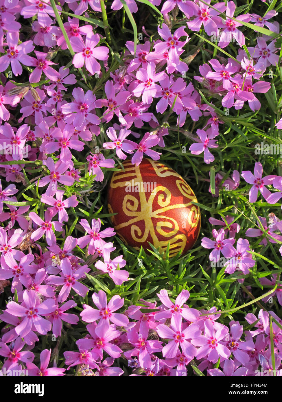 Croatian traditional easter egg on pink flowers Stock Photo - Alamy