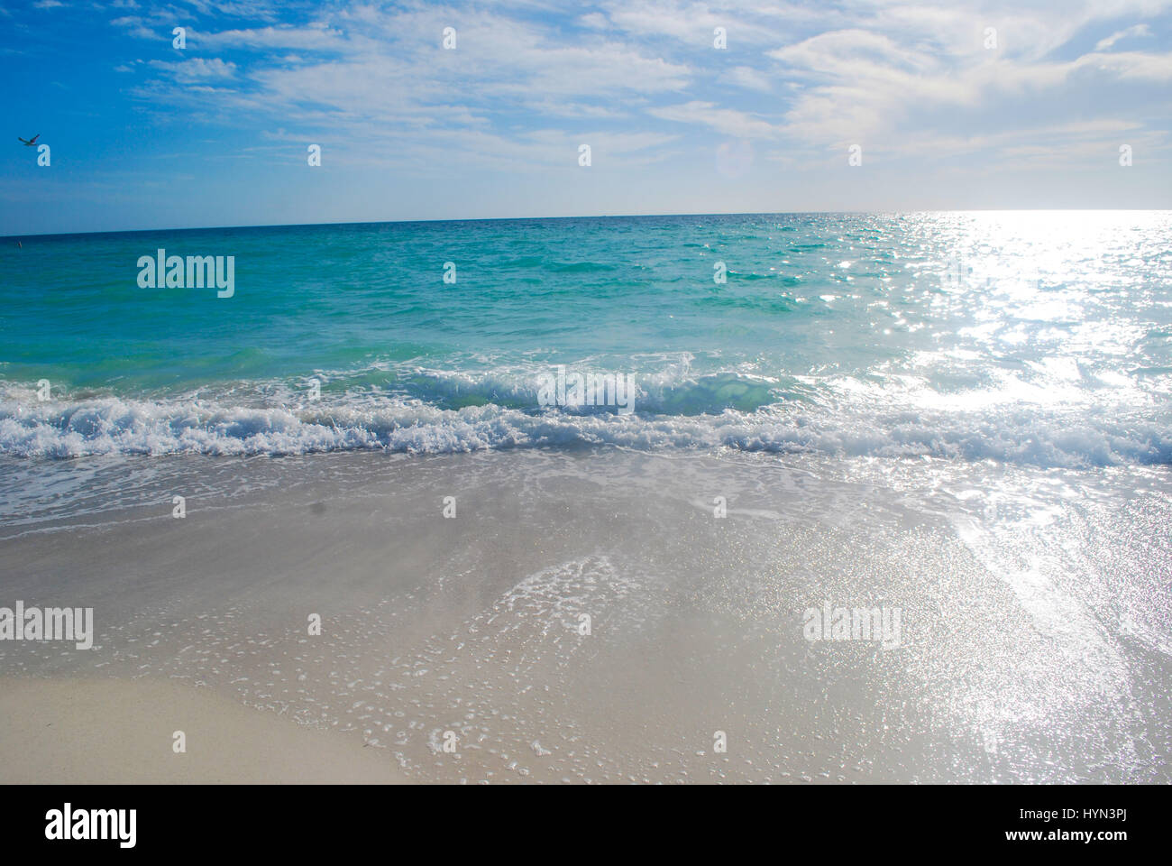 Waves on the Beach on Anna Maria Island in Florida Stock Photo - Alamy