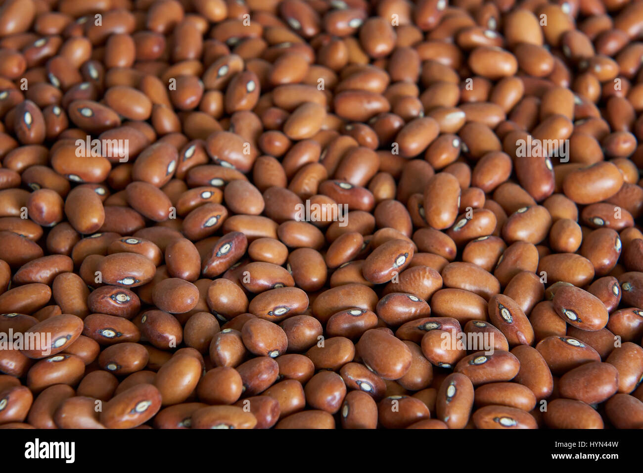 Closeup image ecological brown beans with a narrow depth of field Stock ...