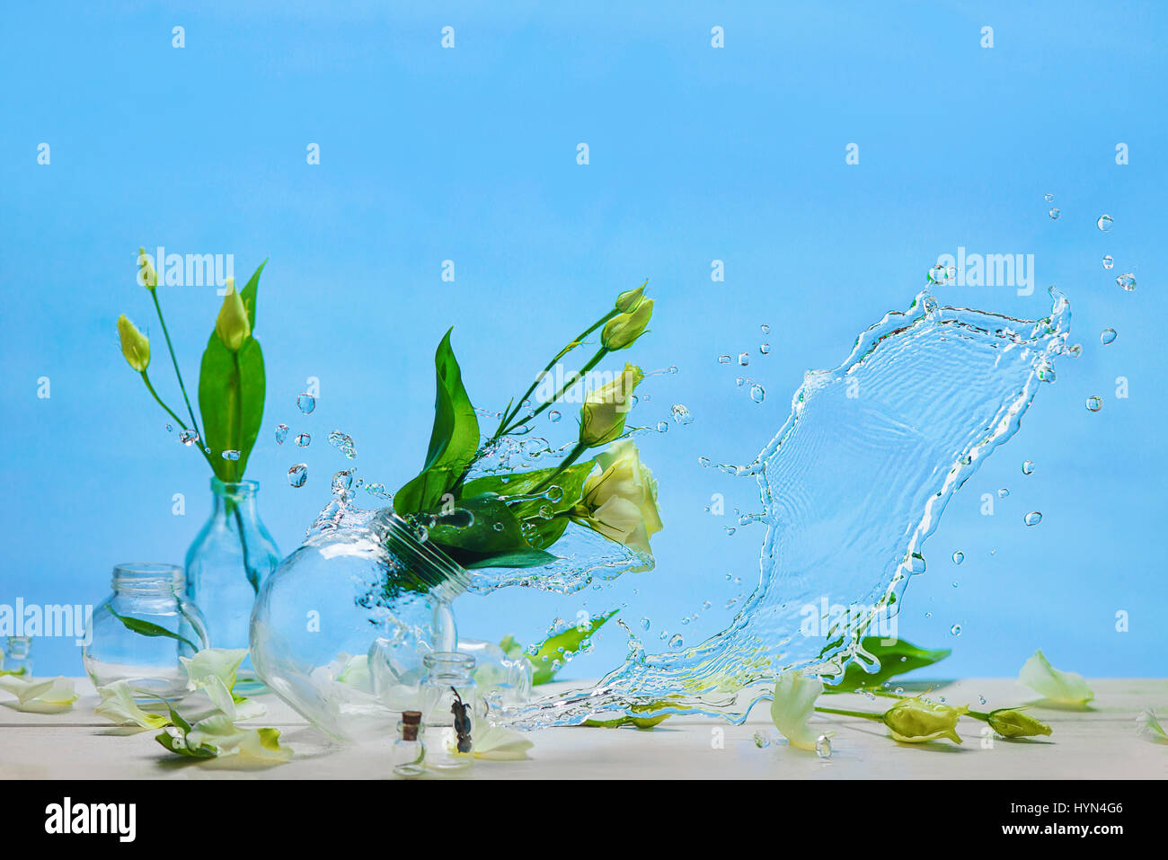 White spring flowers falling from a blow of wind with a splash of clear ...
