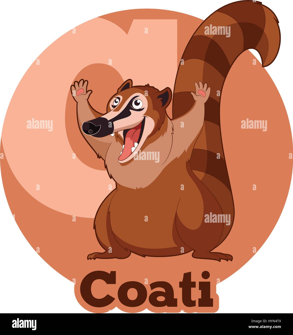ABC Cartoon Coati Stock Vector Image & Art - Alamy