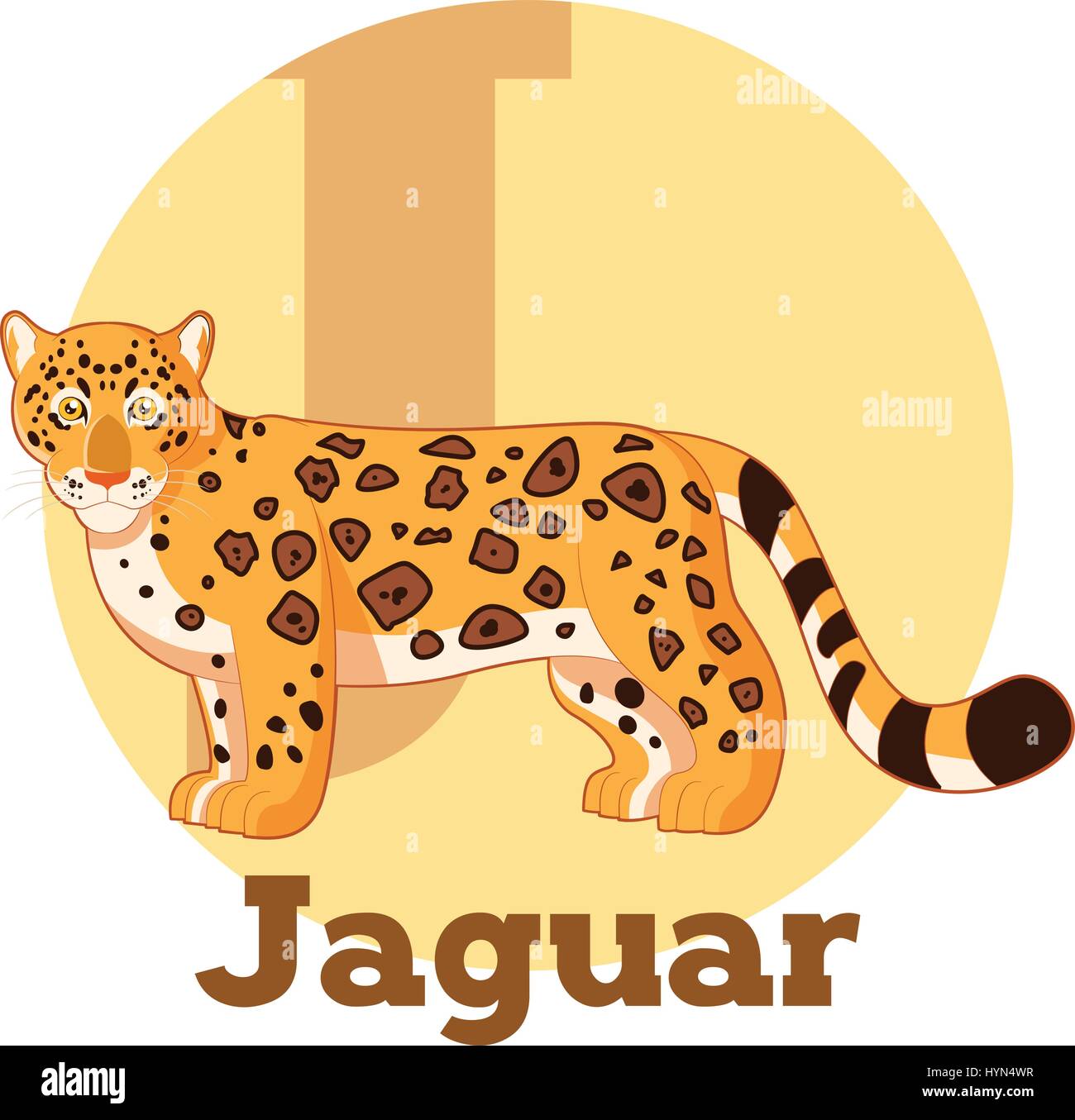 ABC Cartoon Jaguar Stock Vector Image & Art - Alamy