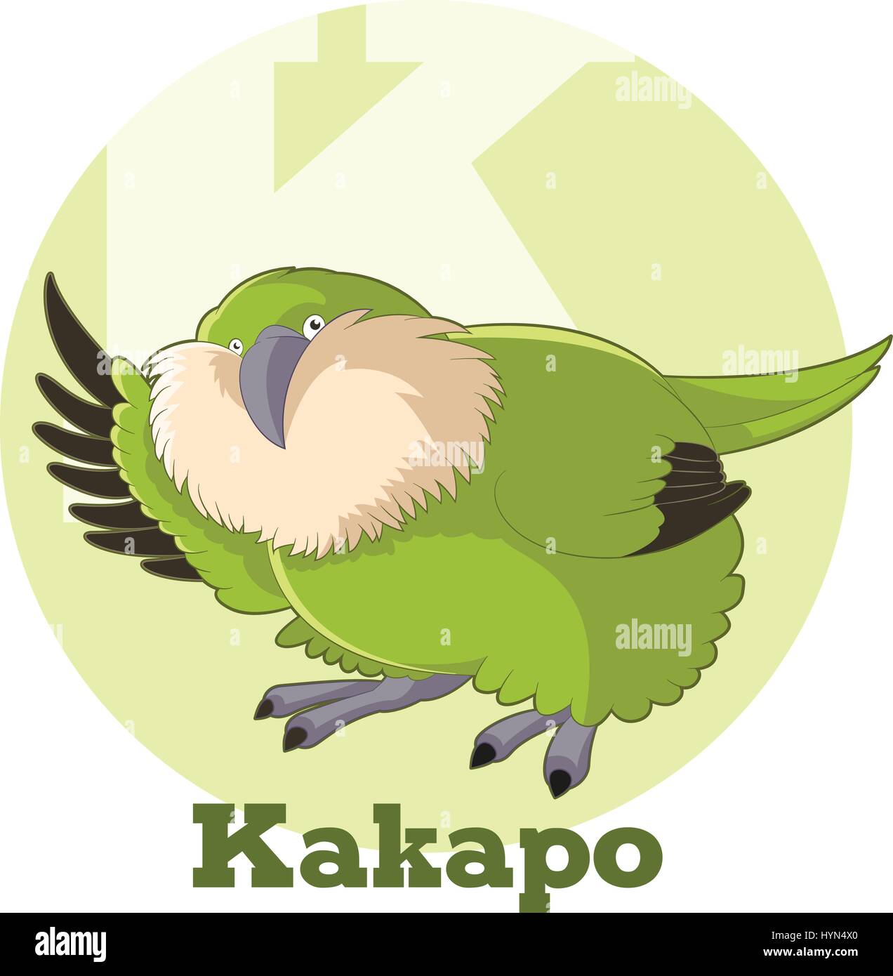 Kakapo parrot hi-res stock photography and images - Alamy
