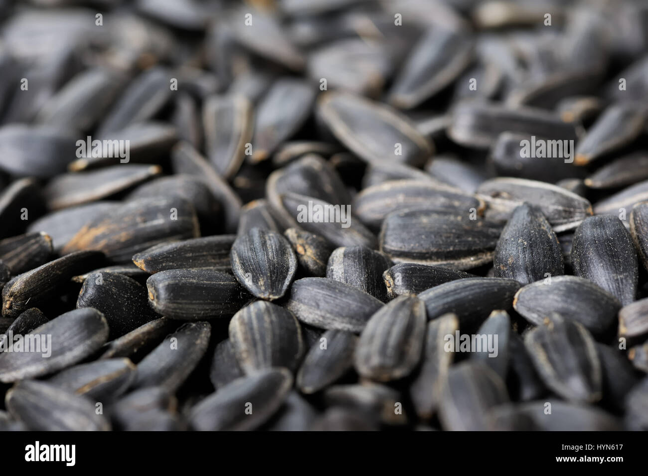 Sunflower seeds background Stock Photo - Alamy