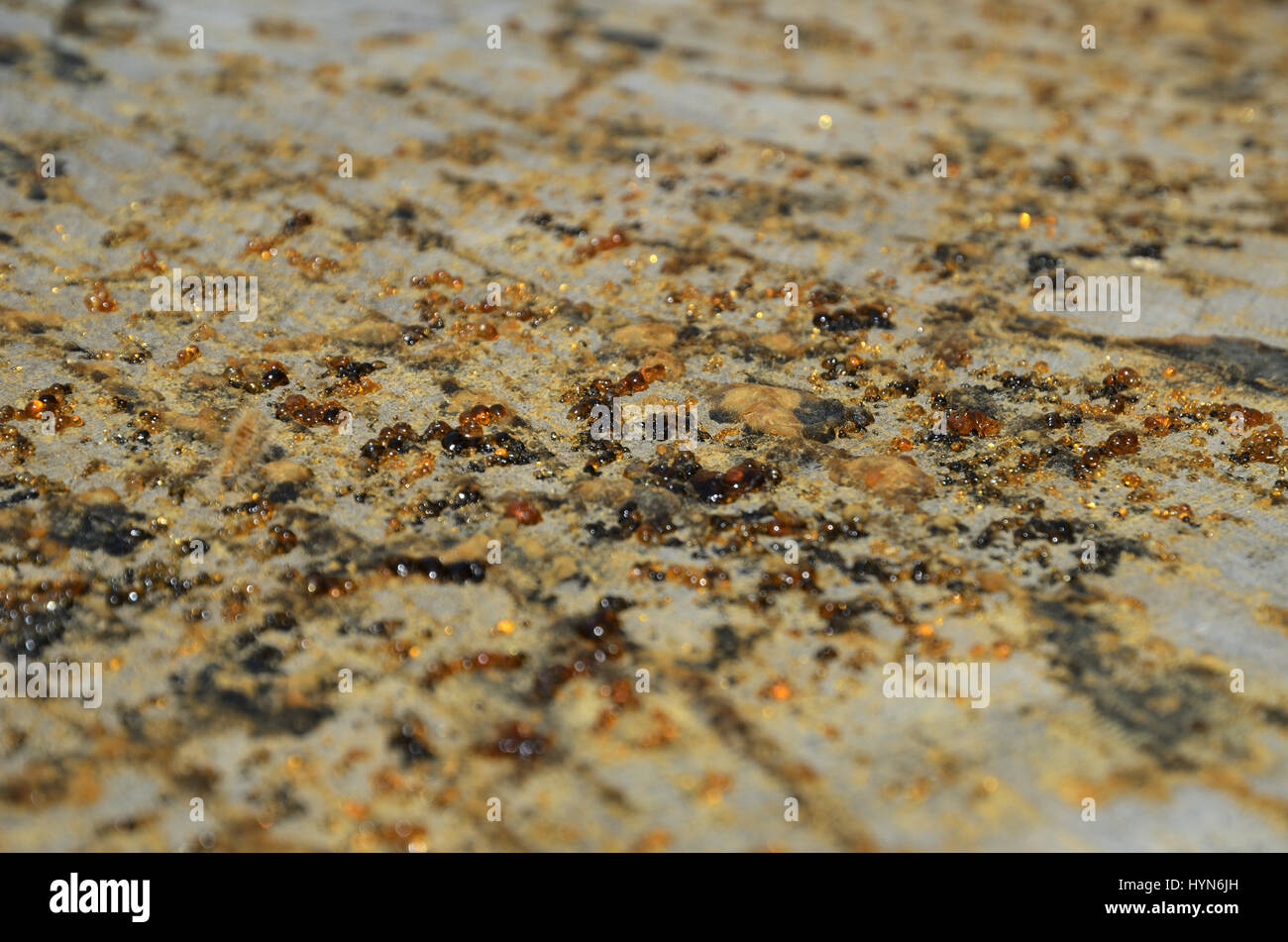 Resin and pitch hi-res stock photography and images - Alamy