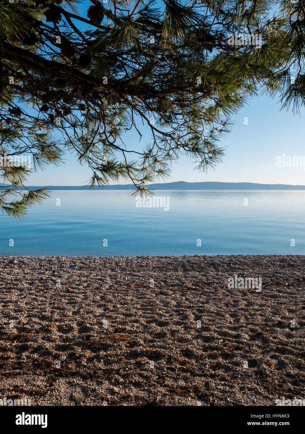 Pine beach hi-res stock photography and images - Alamy