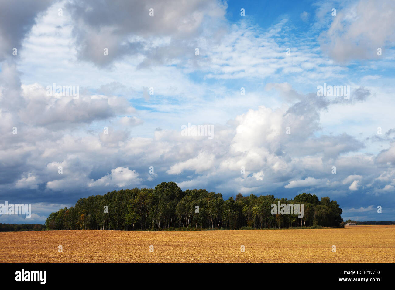 Autum sky hi-res stock photography and images - Alamy