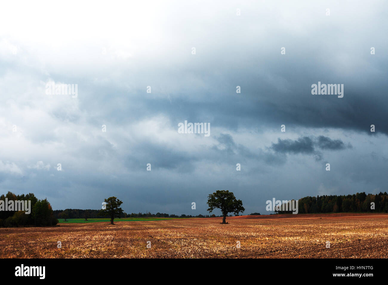Dark sky over field in autumn Stock Photo - Alamy
