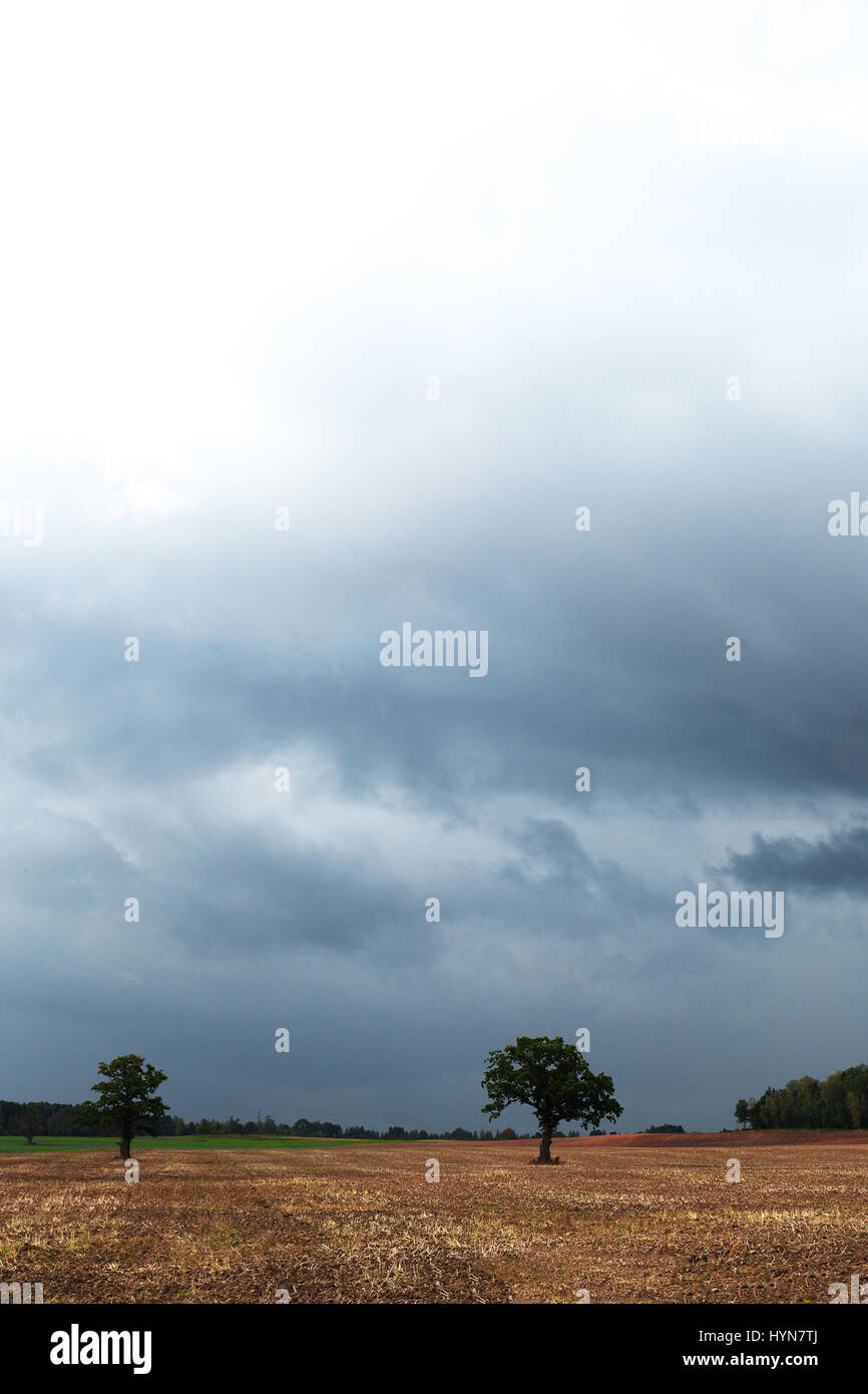 Dark sky over field in autumn Stock Photo - Alamy