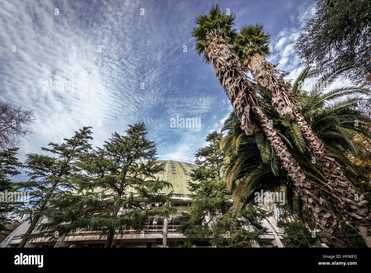 Palm trees and Rosa Mota Pavilion - sport, concert and exhibit hall in ...