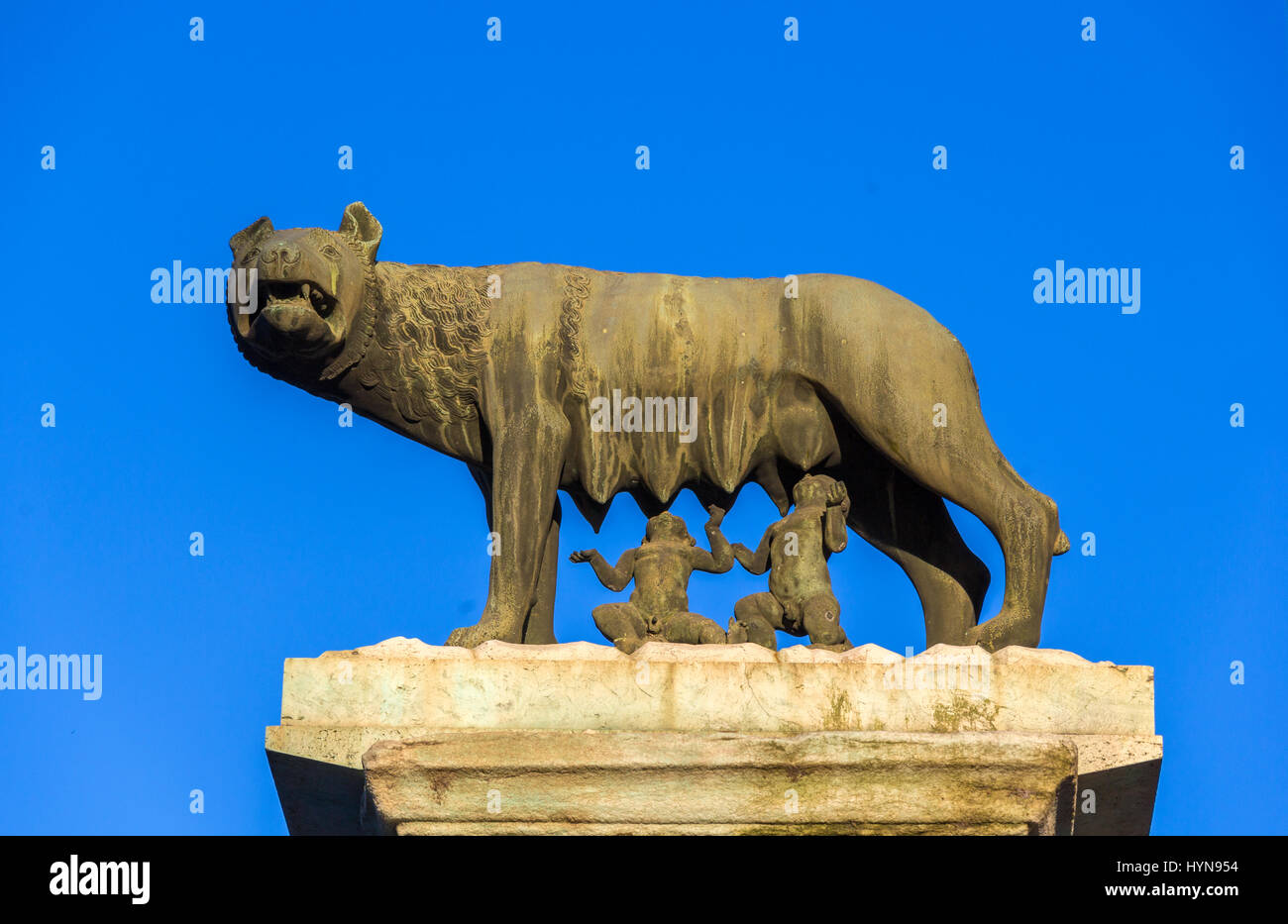 Capitoline Wolf statue in Rome, Italy Stock Photo - Alamy