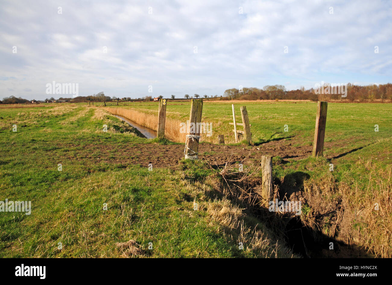 A view of grazing marshes and drainage dyke on the Norfolk Broads at ...