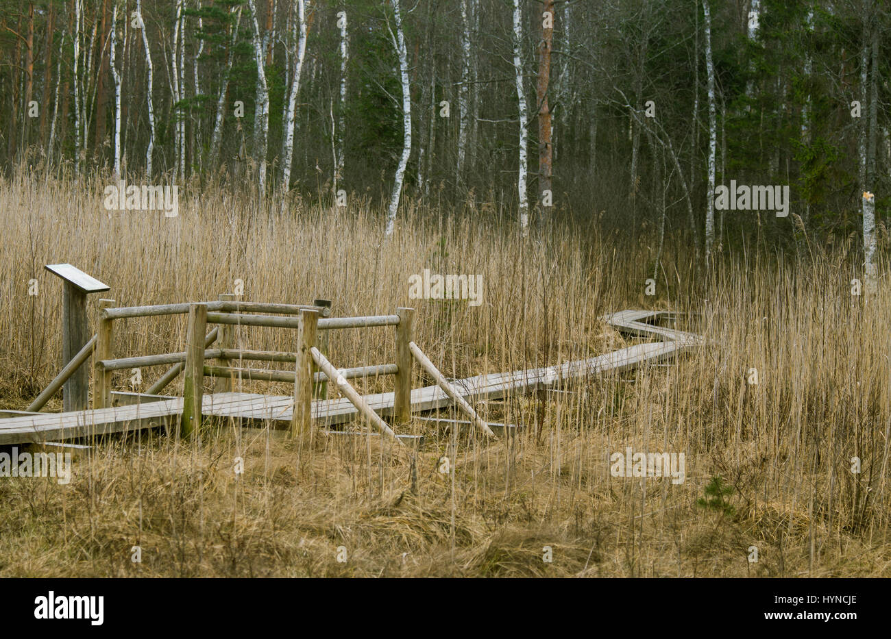 Spring marsh hi-res stock photography and images - Alamy
