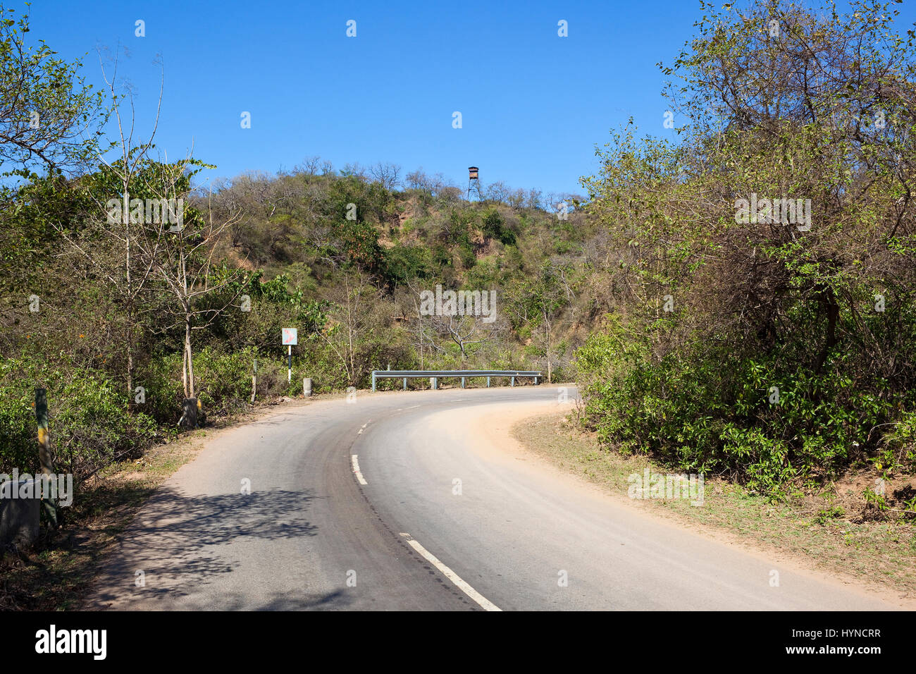 a winding road through the acacia woodland reserve of morni hills in ...