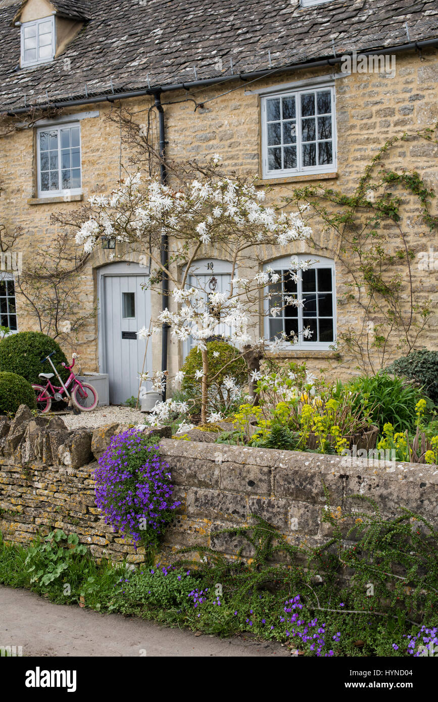 Magnolia tree in front garden hi-res stock photography and images - Alamy