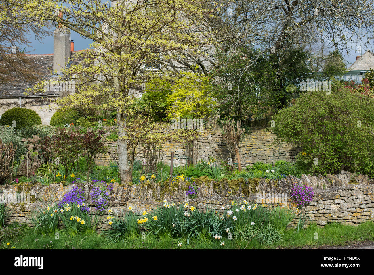Early spring cottage garden in the village of Wootton. West Oxfordshire ...