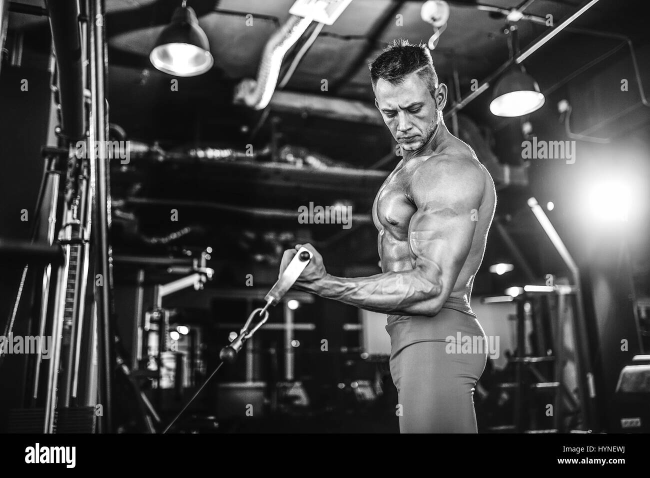 Young Bodybuilder Doing Heavy Weight Exercise For Biceps Stock Photo ...