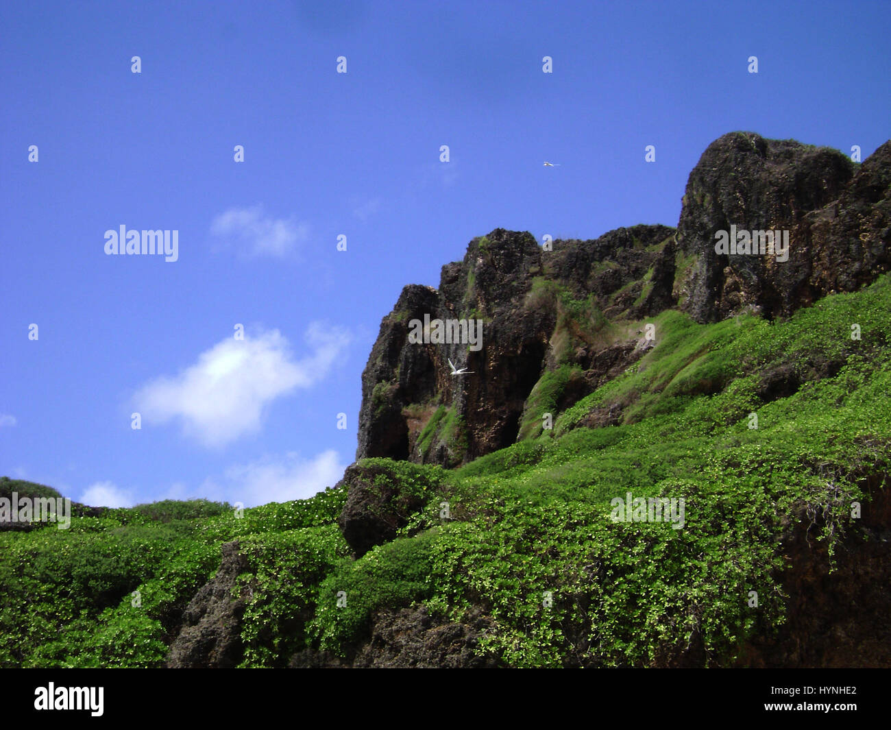 Rota cliff sides Artistic cliff formations in Rota, Northern Mariana ...