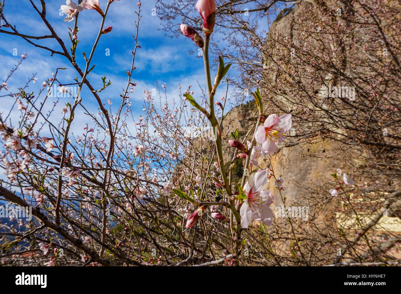 The Holy Monastery of Mega Spileo. It is the oldest in Greece and one ...