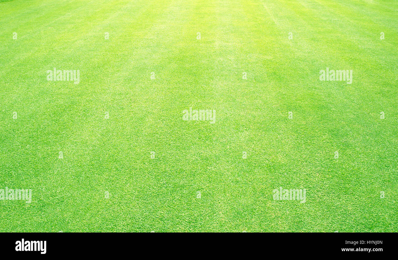 grass background Golf Courses green lawn pattern textured background ...