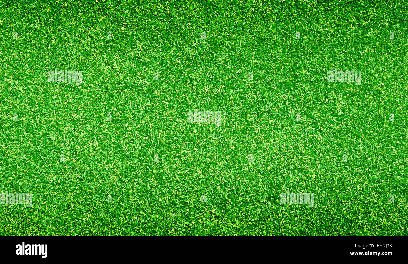 grass background Golf Courses green lawn pattern textured background ...