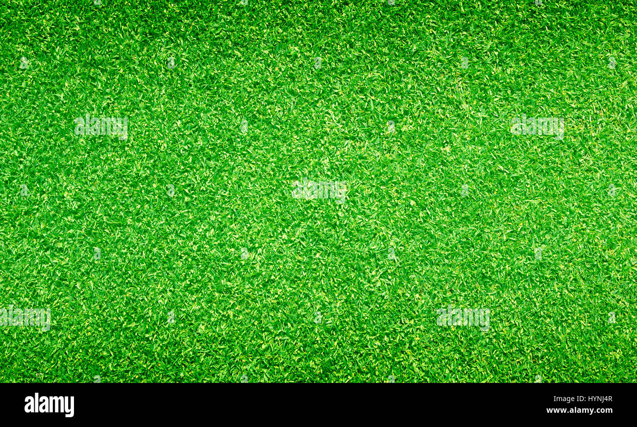 grass background Golf Courses green lawn pattern textured background ...